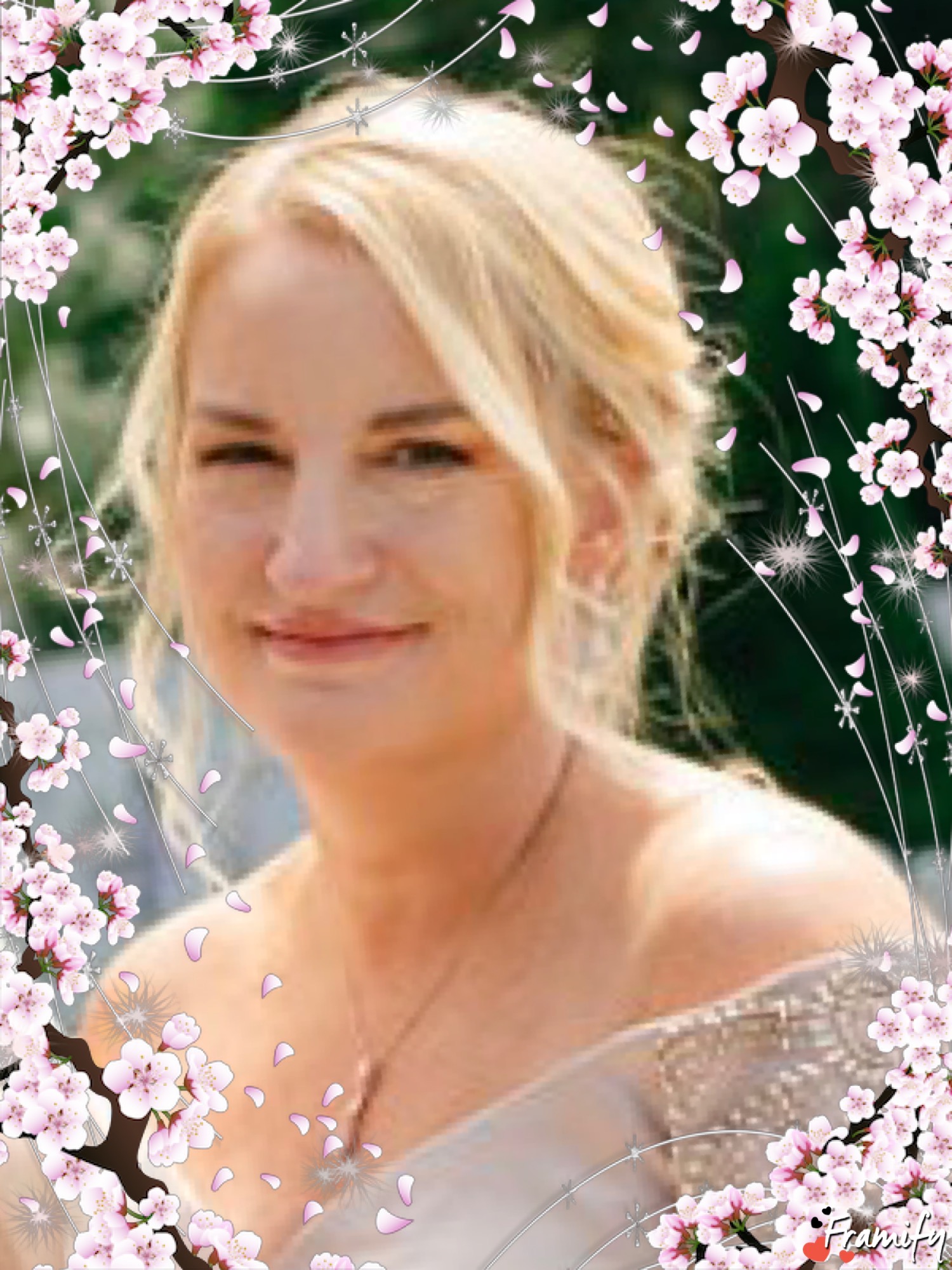 ABOUT THE AUTHOR - Diane Calabrese